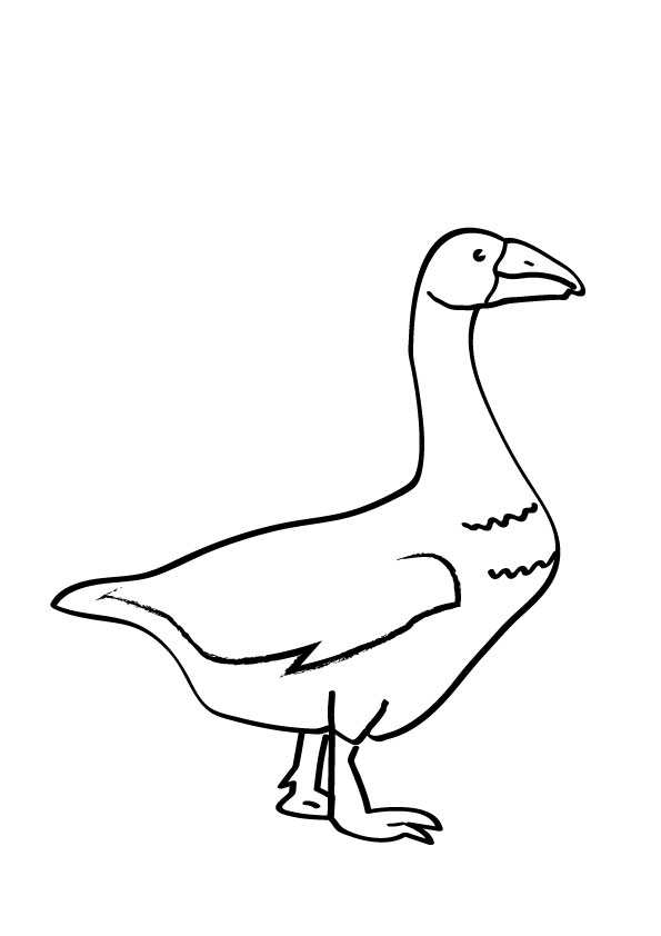 وزة – تفاحة